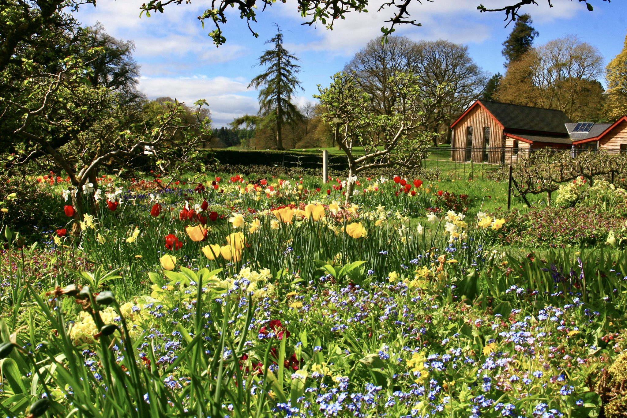 Gardens – HERGEST CROFT GARDENS