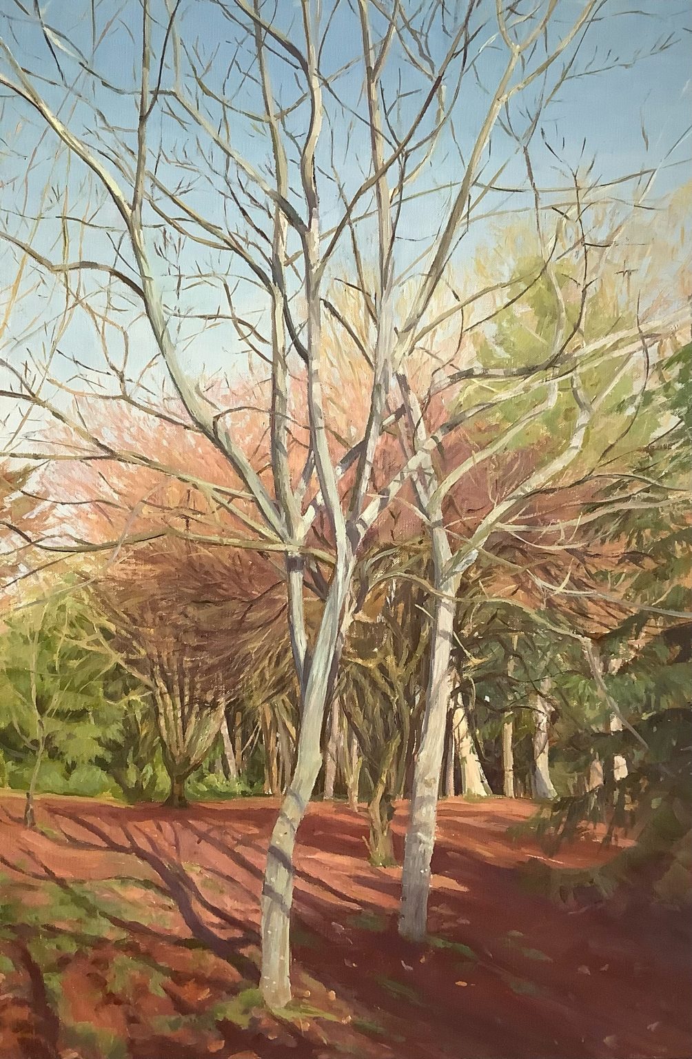 HERGEST CROFT GARDENS